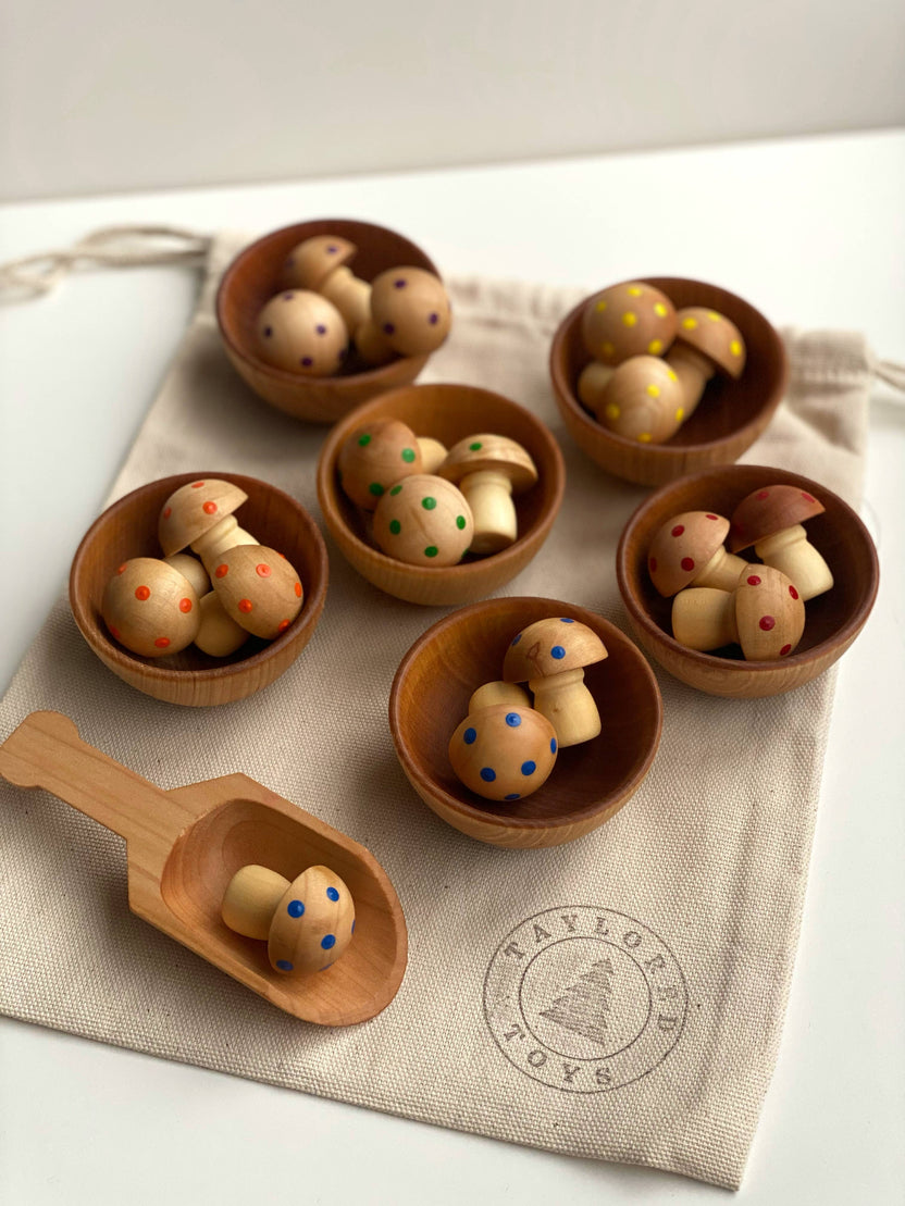 Montessori Waldorf Wood Mushroom Sorting Game – Quirky Fidgets